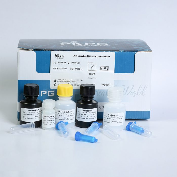 Column based DNA Extraction Kit From blood and tissues (50 Reactions ...